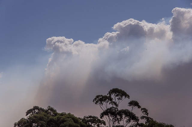 Respiratory warning Bunyip State Park bushfire smoke - Asthma Australia