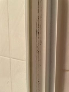 Battle against dangerous mould a costly fight for people with asthma ...