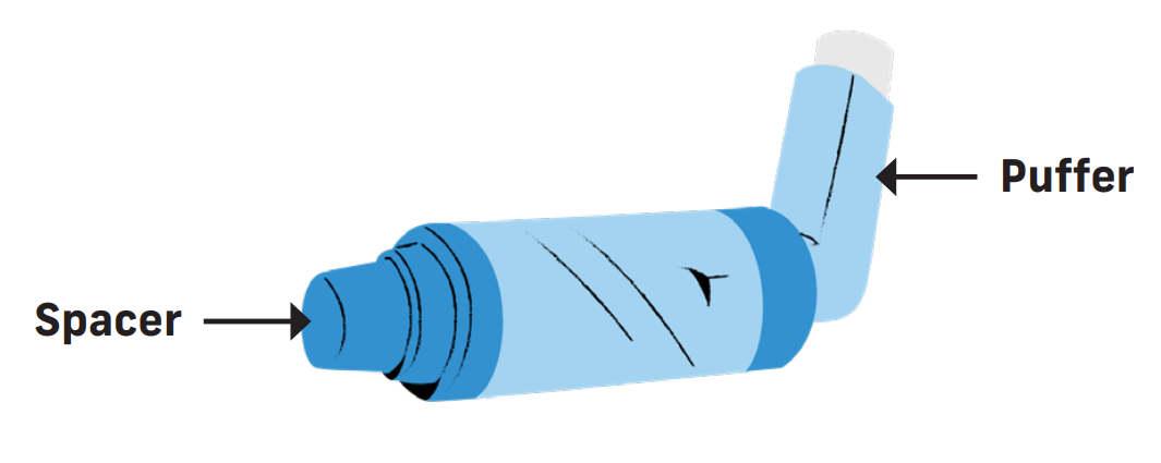 Asthma Basics for Kids (Grades 1–2) | Asthma Australia