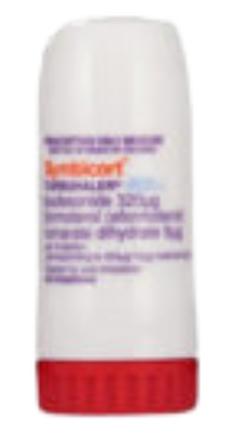 Australian Asthma Handbook Update 2025: First Look - Asthma Australia